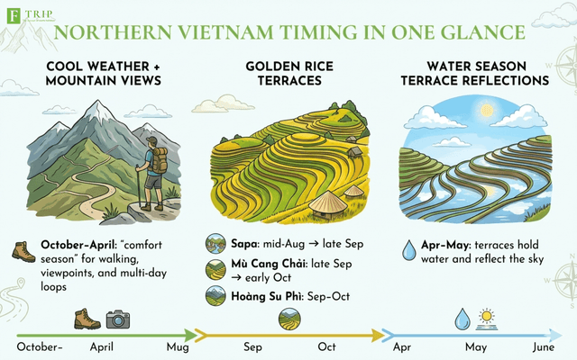 Best Time to Visit Northern Vietnam for Mountains, Rice Terraces, and ...