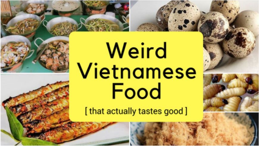 Weirdest Dishes In Vietnam | Vietnam Travel Guide | FTrip Vietnam